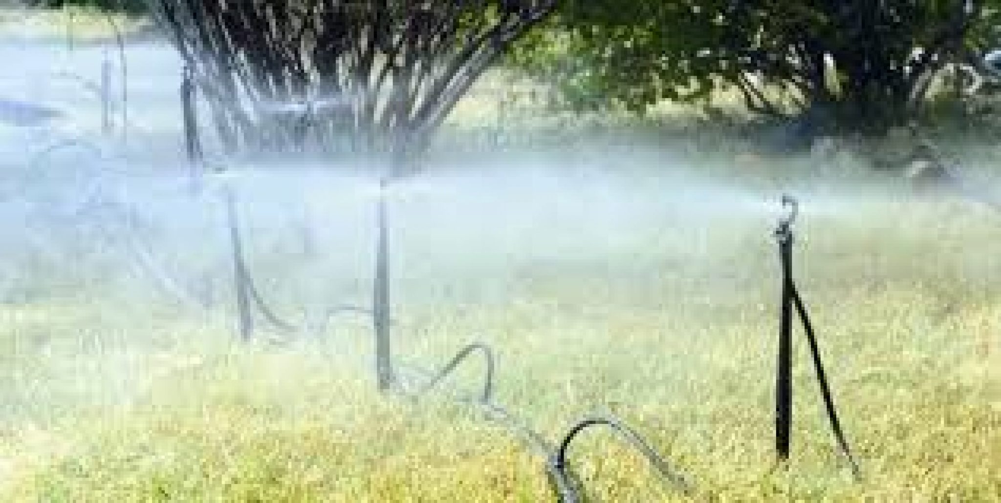 Mini Sprinkler Yellow-green 4mm - Drip Irrigation BD Ltd. (DIBL)