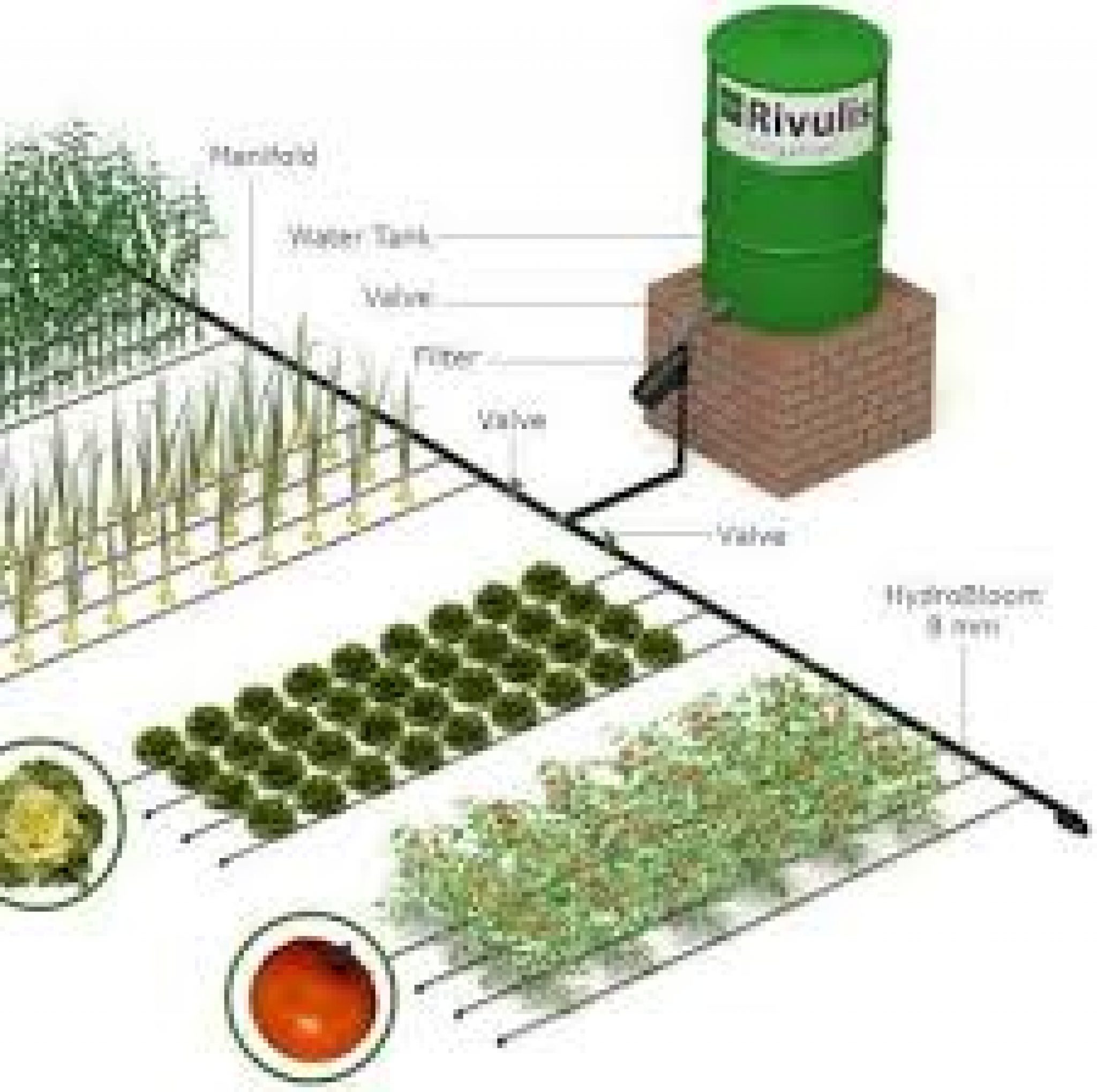30 plants drip irrigation package system - Drip Irrigation BD Ltd. (DIBL)