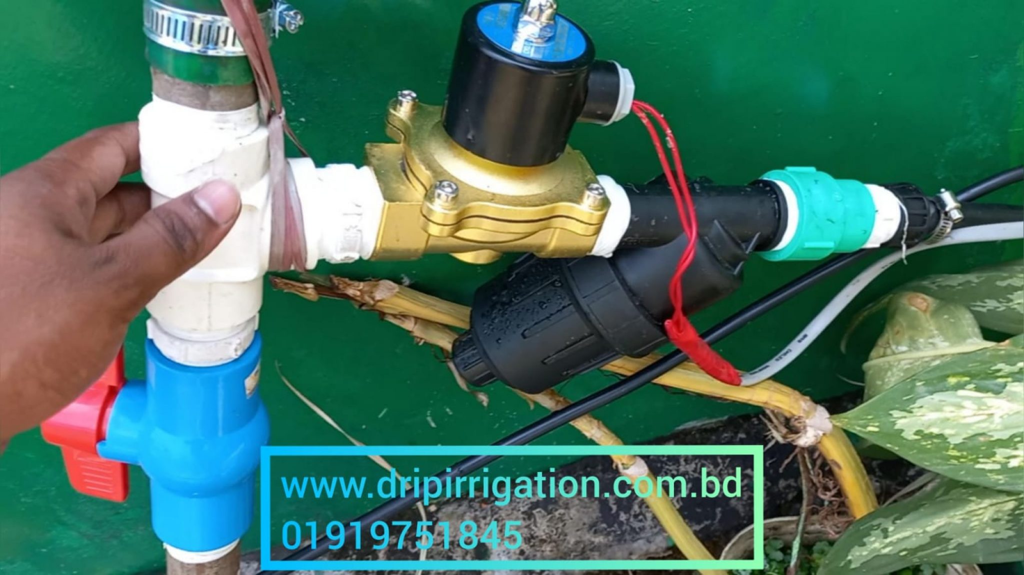 Automatic 35 plants drip irrigation package - Drip Irrigation BD Ltd ...