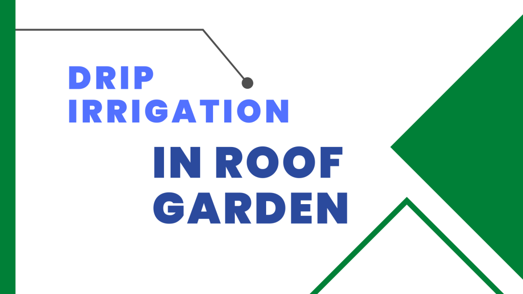 The Ideal Irrigation Service For Your Roof GardenThe Ideal Irrigation ...